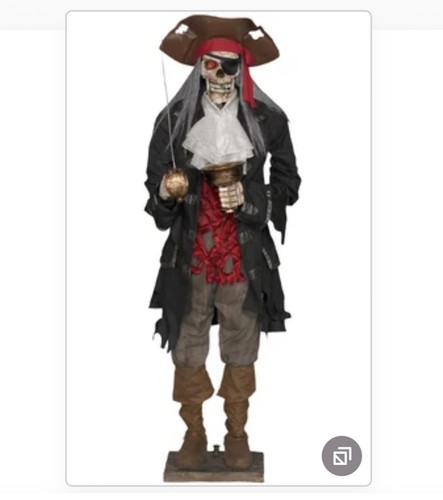 Gemmy Dead Eye Drake Pirate Skeleton RARE Prop Halloween 6ft ...