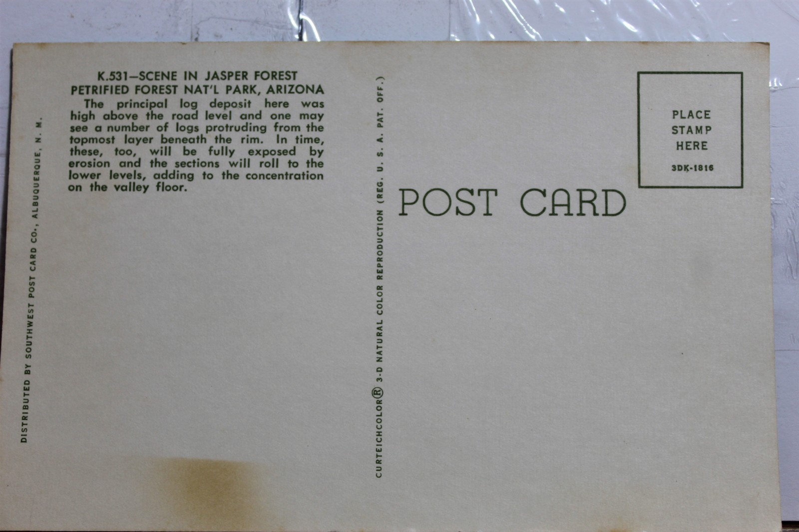 Arizona AZ Petrified Forest National Park Jasper Forest Scene Postcard ...
