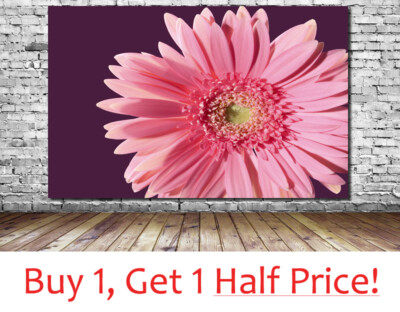 PINK FLOWER CANVAS WALL ART PRINT - *Framed* - PURPLE GERBERA FLORAL ...