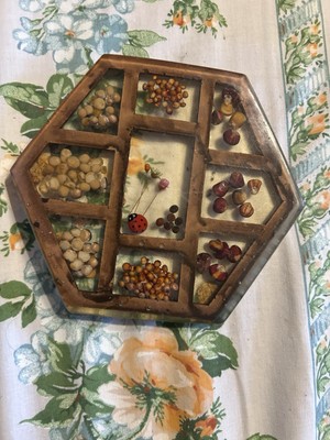 Vintage Gamut Designs Ladybug Resin Acrylic Trivet Lucite Flowers Seeds ...
