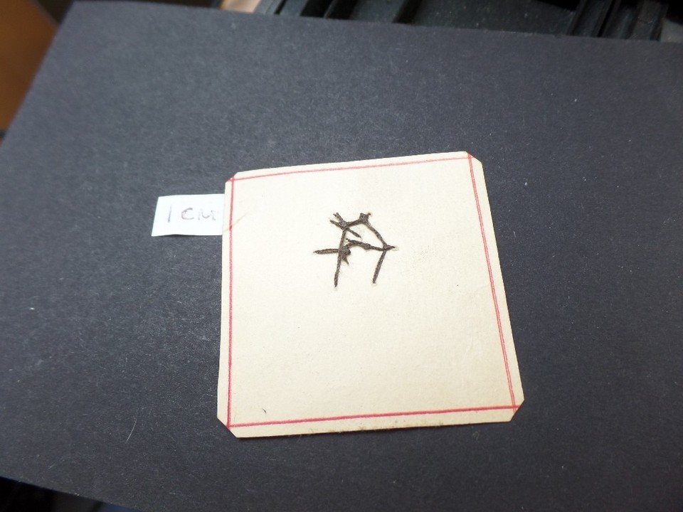 A Superb Rare medieval Spur Rowel metal detecting find-2 | eBay UK