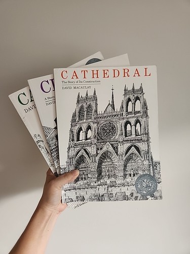 David Macaulay 3 Book Lot - Castle, Cathedral, & City 9780395175132 | eBay