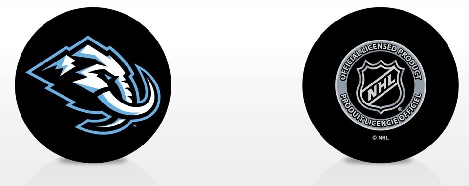 2025 NHL UTAH MAMMOTH LOGO STYLE SOUVENIR PUCK W/ DISPLAY CUBE LICENSED ...