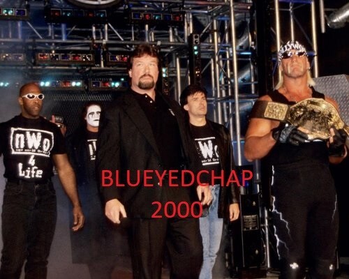 NWO HULK HOGAN-TED DIBIASE WRESTLER 8 X 10 WRESTLING PHOTO WCW WWF | eBay