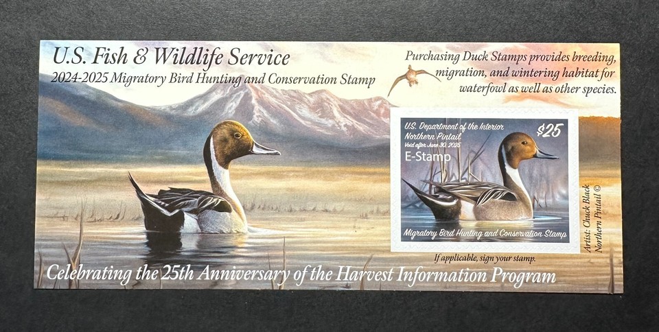 WTDstamps - #RW91A / RW91B 2024 - Federal Duck Stamp -- "E-Stamp ...