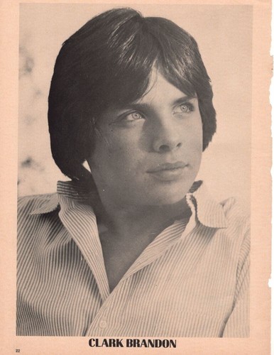 Clark Brandon look away pinup Cheryl Tiegs portrait picture photo ...