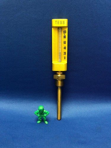 TESS L110 x stem 100mm V-Thermometer 174B 1.3cm Bsp Ottone Gamma 0-100 ...