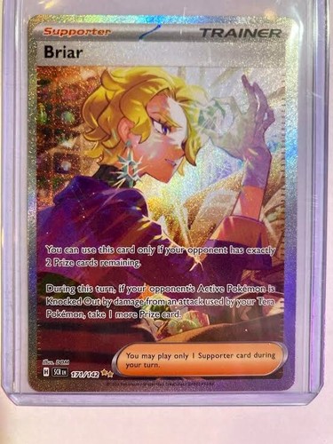 Briar 171/142 Special Illustration rare Pokemon Card Stellar Crown SV7 ...