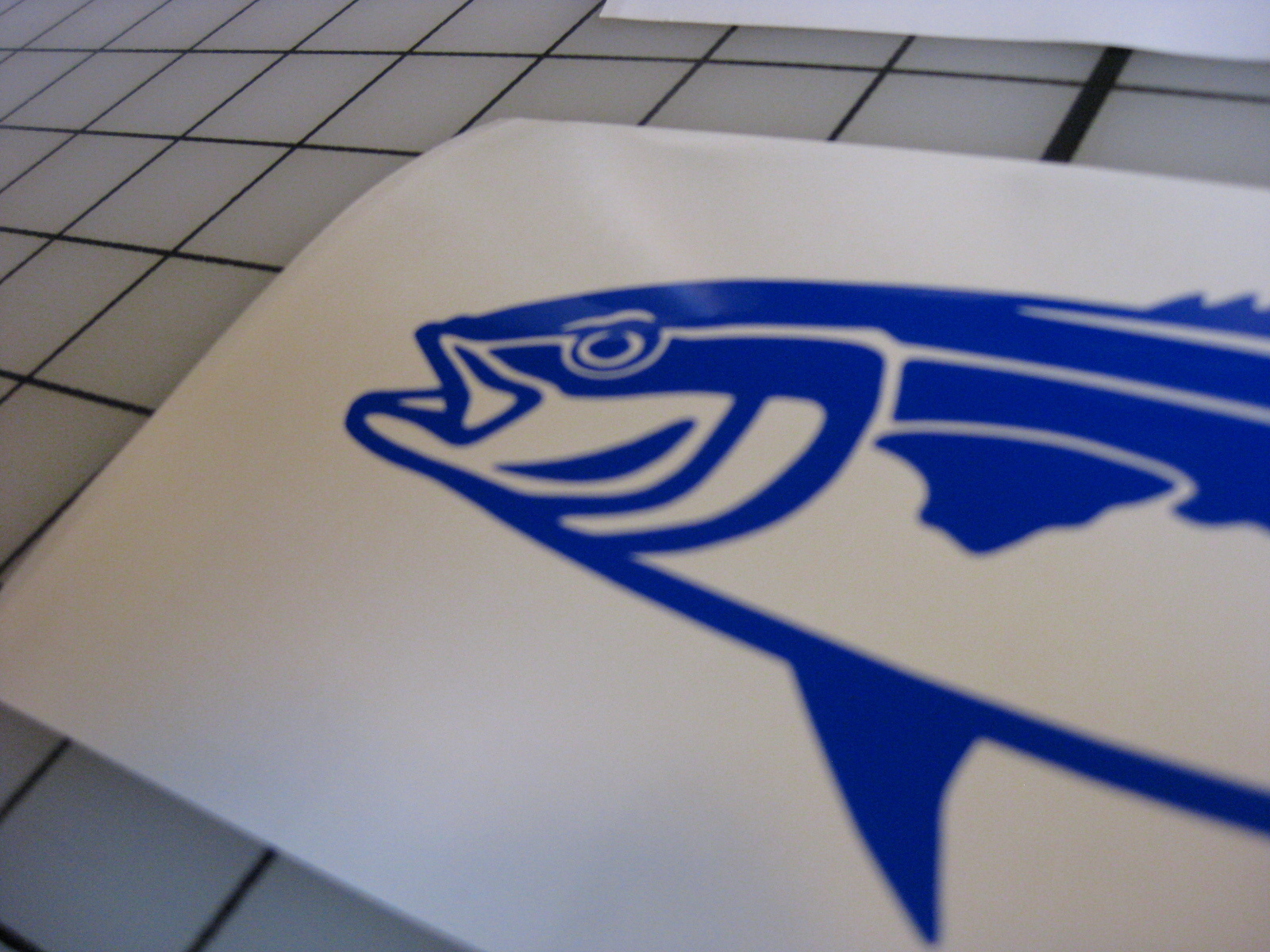 Two BLUE 8" Yellowtail Fish Decals Fishing Truck Car Boat Window Bumper ...