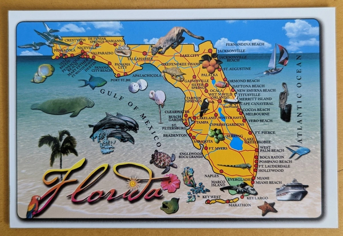 Florida Sunshine State Map
