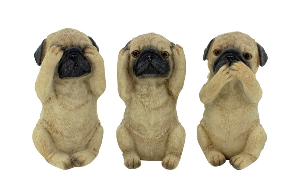 Evil Dogs
