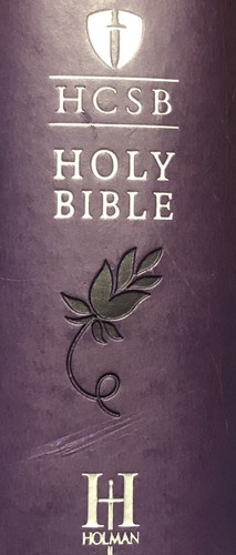 HCSB Large Print Study Bible Indexed Red Lettered Used Design Leather ...