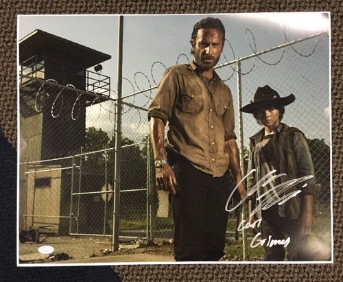 Chandler Riggs Signed Auto Autograph 16x20 Photo JSA COA The Walking ...