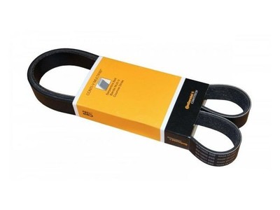 Supercharger Multi Rib Belt For 2003-2006 Mercedes S55 AMG 5.5L V8 2005 ...