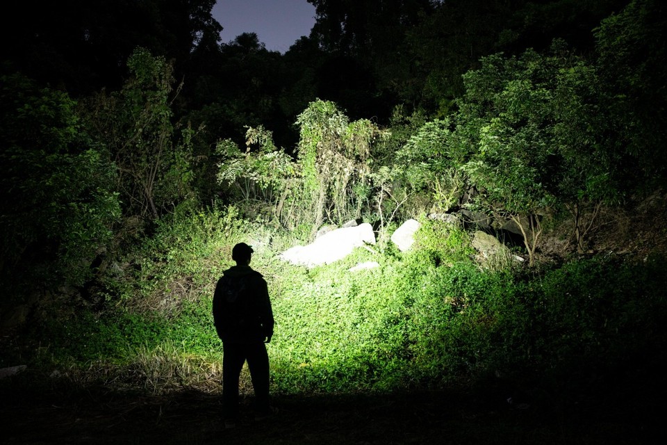 Olight Arkflex Orange Adjustable Right Angle EDC Flashlight, 1000 Lum ...