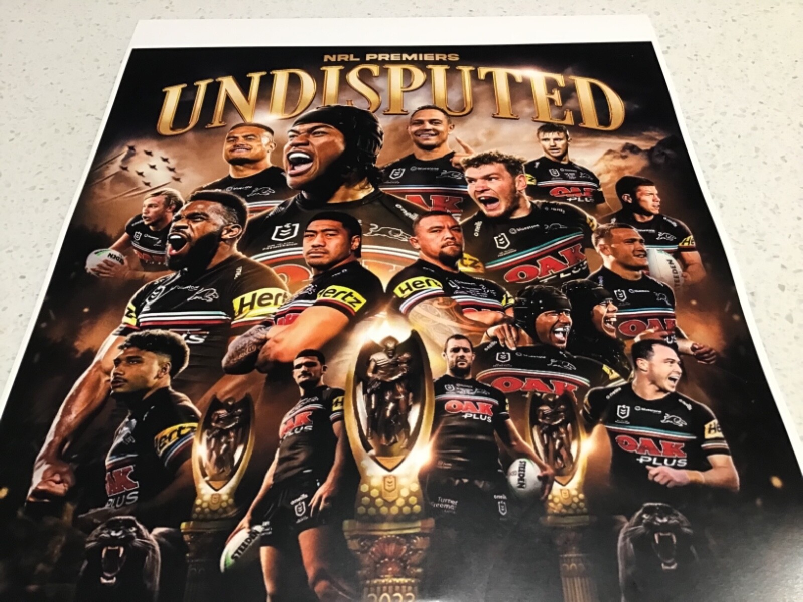BIG 420mm PREMIERS PENRITH PANTHERS NRL RUGBY TEAM PLAYER POSTER ...