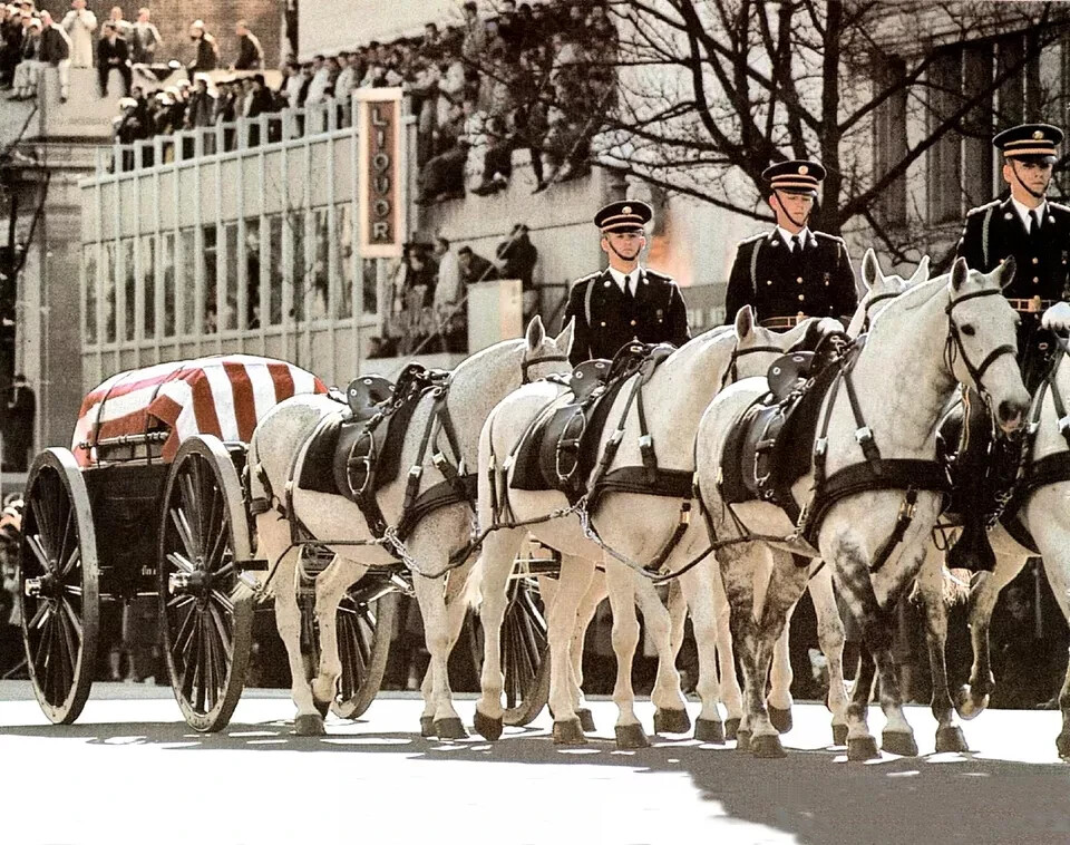 John F Kennedy Funeral Horse