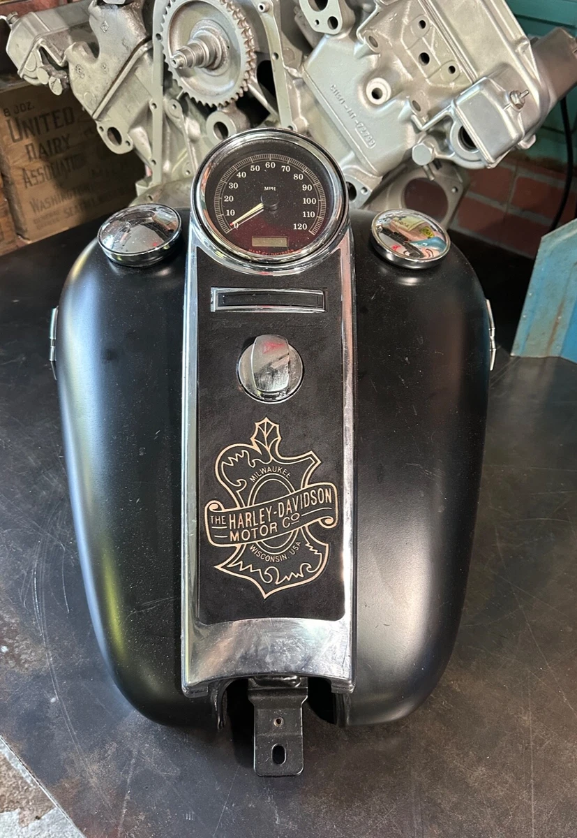 2022 Harley Davidson Road King Custom