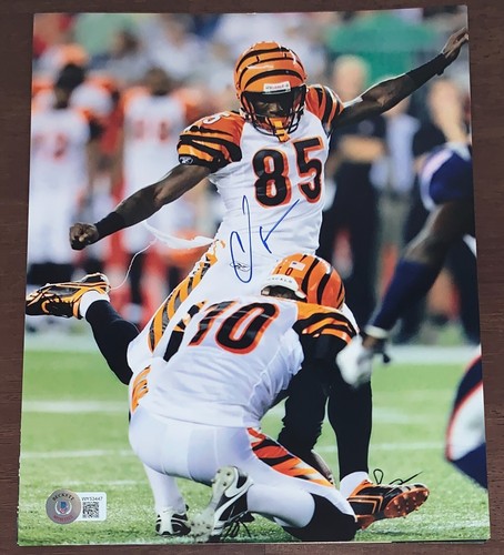 Chad Ochocinco Johnson Signed 8x10 Photo Cincinnati Bengals Beckett ...