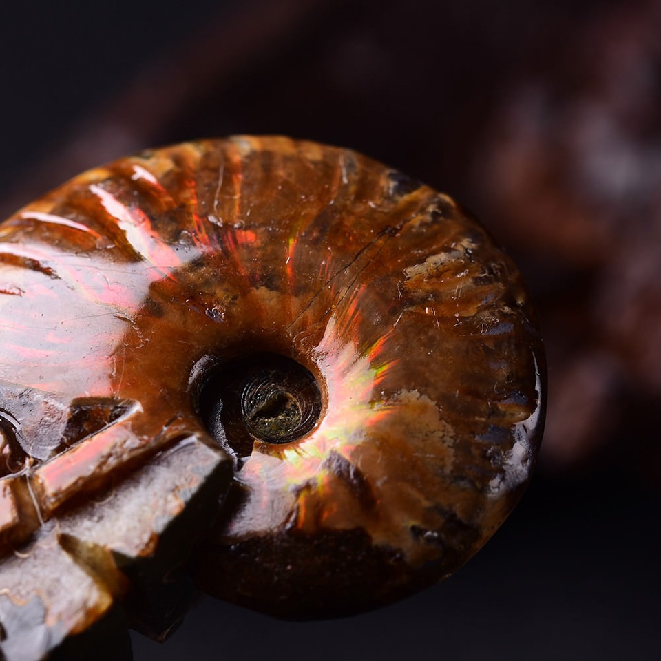 Rainbow Natural Conch Crystal Ammonite Carved Skull Quartz Healing ...