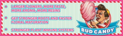 Advanced Nutrients Bud Candy 1 liter Supplement for Enhanced Plant ...