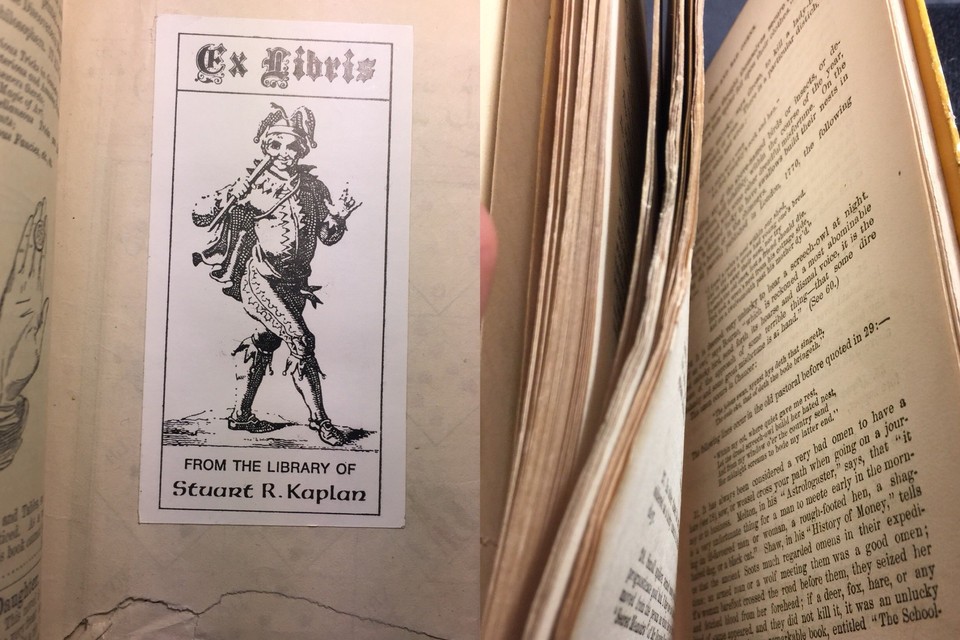 1866 Lenormand Fortune Telling Playing Cards Cartomancy Book & Mystical ...