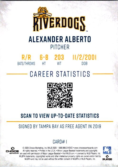 Alexander Alberto 2025 Choice Charleston RiverDogs #1 Charleston ...