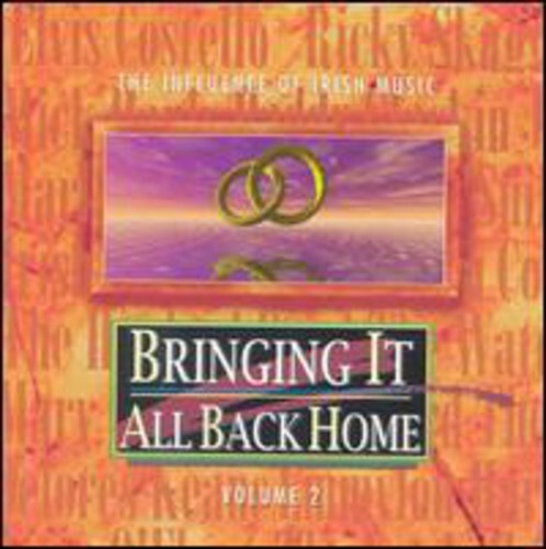 Bringing It All Back Home Vol 2 618321501221| eBay