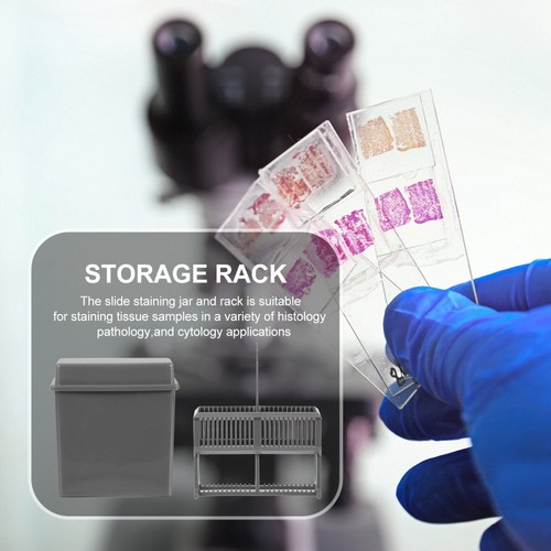 2 Sets Slide Storage Rack Child Slides Staining Jar and Microscope ...