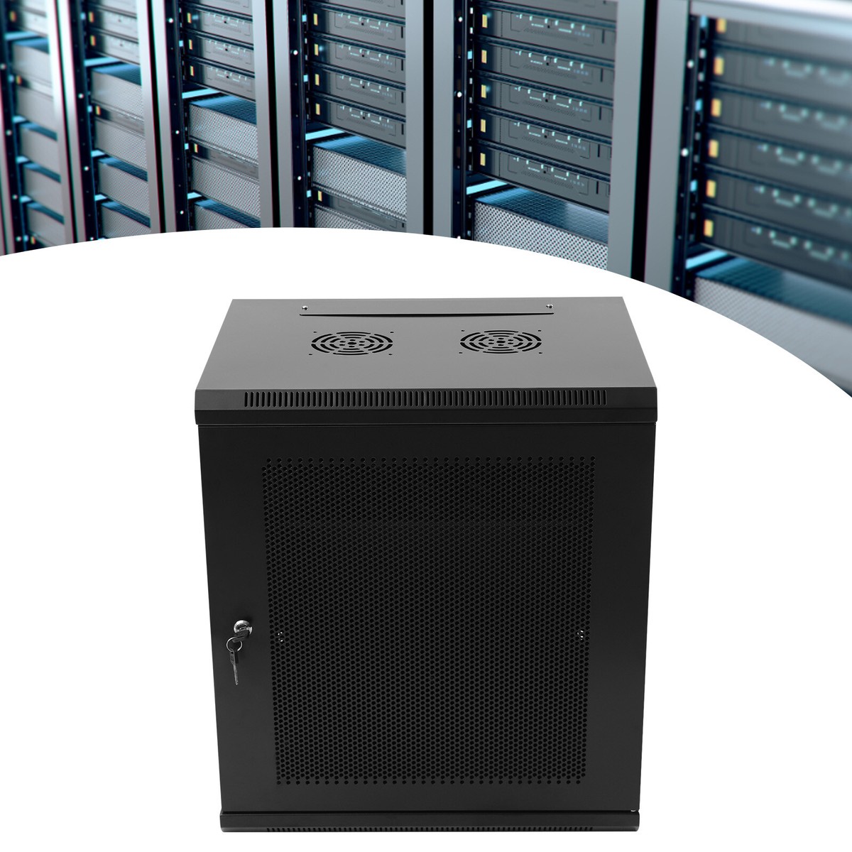 Small Locking Server Cabinet | Cabinets Matttroy