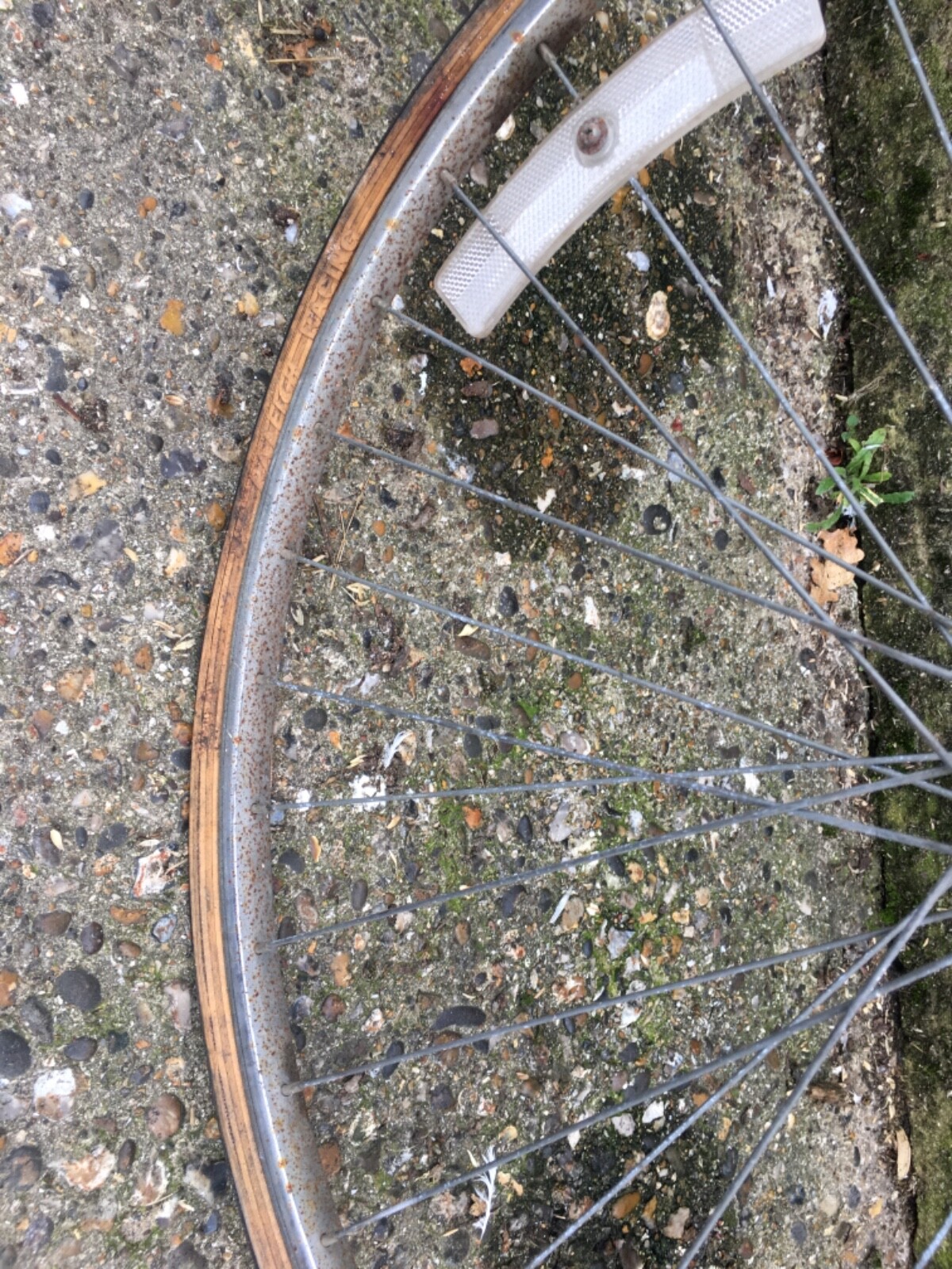 VINTAGE TRUMPH TEMPEST Racing Bike | eBay UK