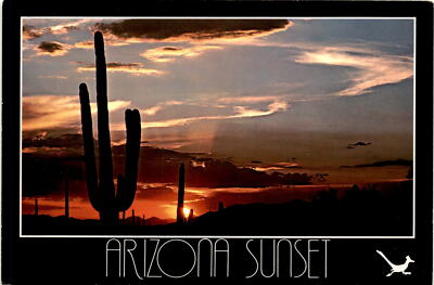 Arizona desert sunset sky Ray Manley SmithSouthwestern Inc flora fauna ...