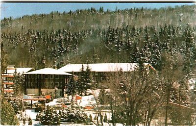 Postcard VT The Lodge of Mt Snow Motel Cars Snow Flags Chimney Smoke ...