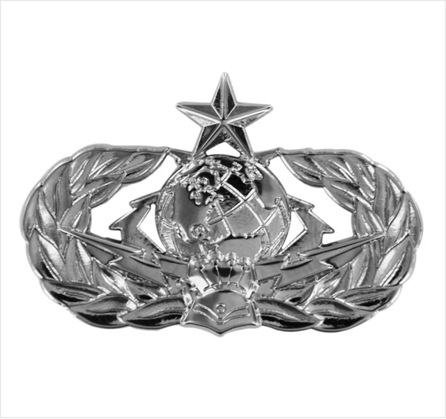 GENUINE U.S. AIR FORCE BADGE: CYBERSPACE SUPPORT: SENIOR - REGULATION ...