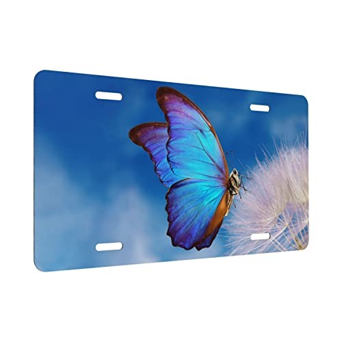 License Plate,Blue Butterfly Flower Decorative Car Front,Metal Plate ...
