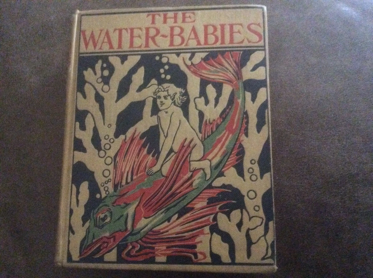 The Water Babies Kingsley