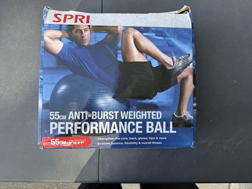 SPRI 55cm Anti-Burst Weighted Performance Ball Stability Core Exercise ...