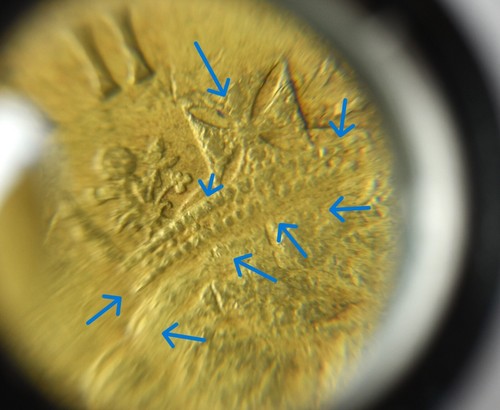 New Zealand Two Dollars Coin Error 1990 Security Groove, Cross Above ...