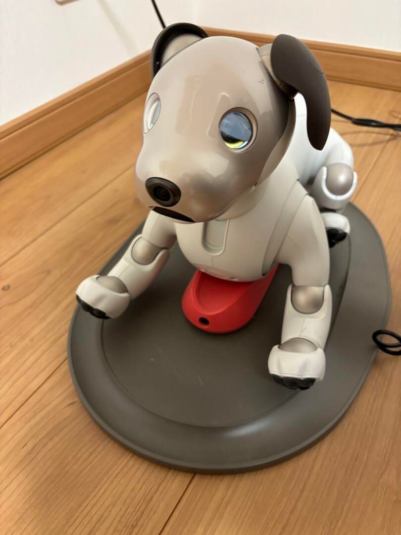 Sony AIBO ERS-1000 Entertainment Robot Dog accessories From Japan Used ...