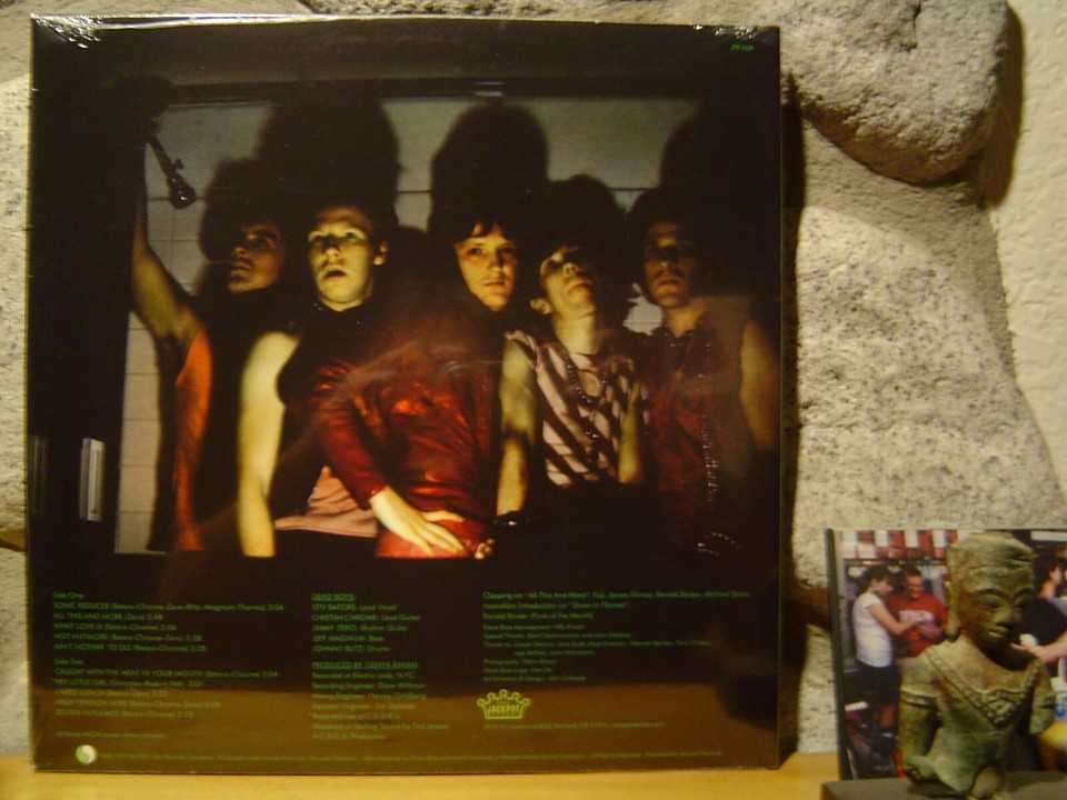 DEAD BOYS Young Loud And Snotty LP/1977 US/TOP 10 AMERICAN PUNK ROCK ...