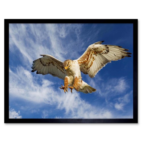 Eagle Hunting Attack 12X16 Inch Framed Art Print | eBay Australia