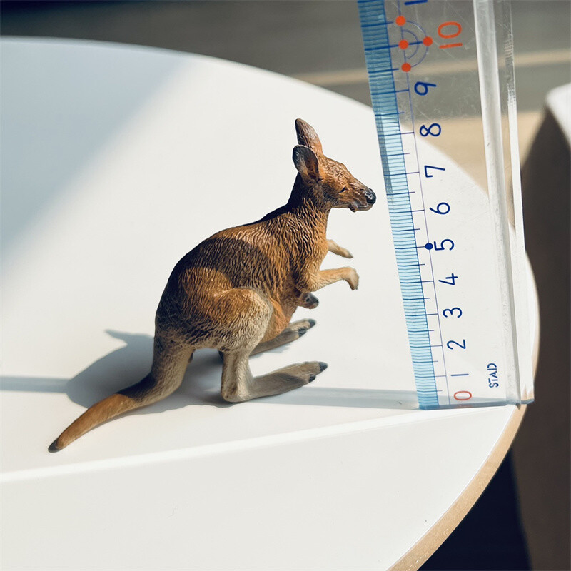 Miniature Kangaroo Pet