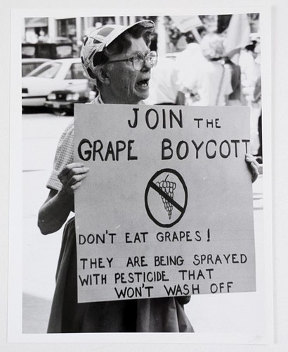 1988 Boston MA United Farm Workers Movement Grape Protest Chavez VTG ...