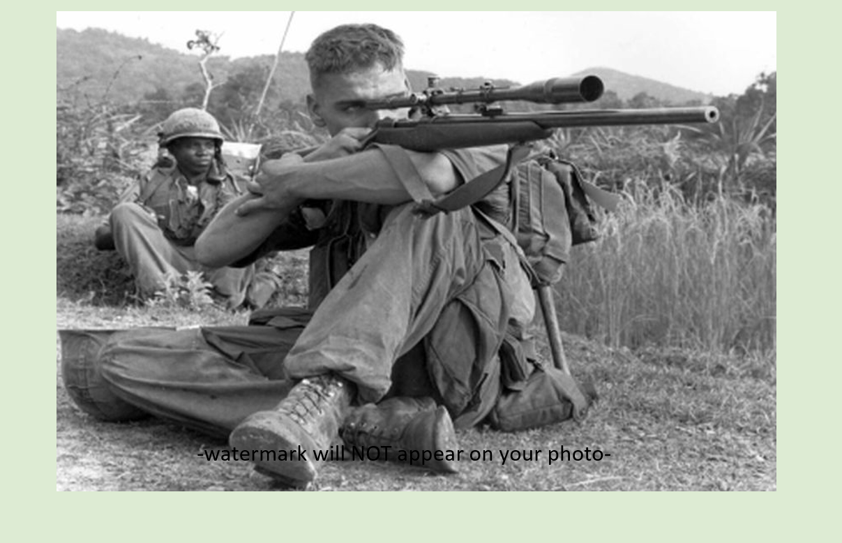 Vietnam War US Marine Sniper Stays Sharp PHOTO Winchester M70 Rifle 3rd ...