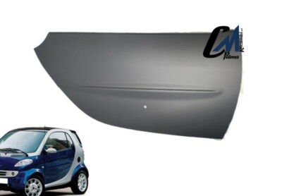 PANNELLO PORTA PORTIERA ESTERNO SINISTRO SX SMART FORTWO 450 98>07 1998 ...