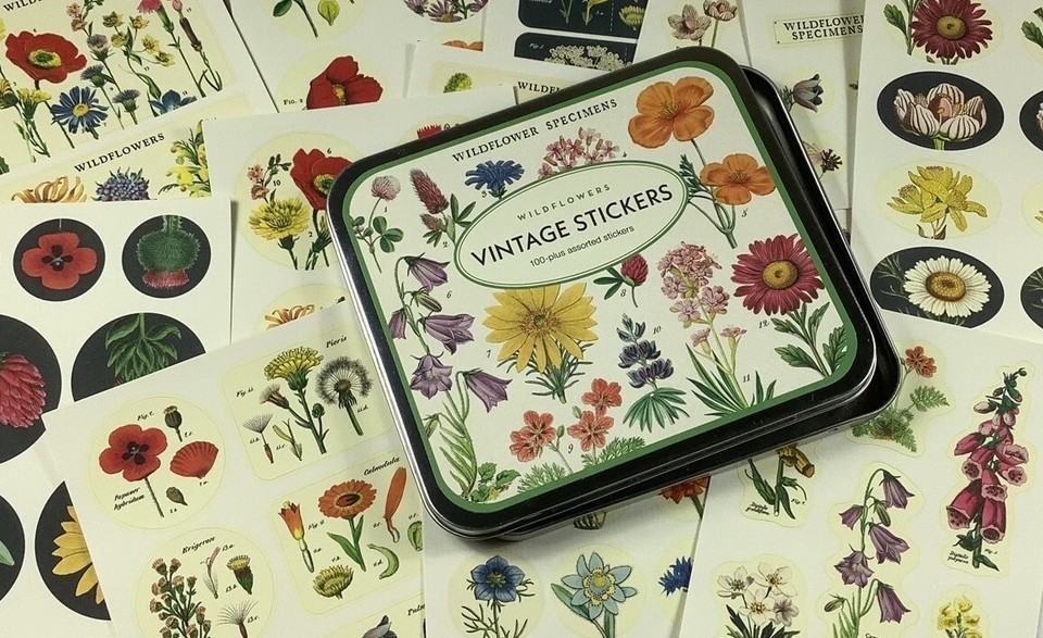 Cavallini & Co. Wildflowers Vintage Style Sticker Set, Assorted | eBay