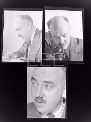 3 1949 Ralph Ingersoll Newspaper Publisher Old Negatives BY FAMOUS ...