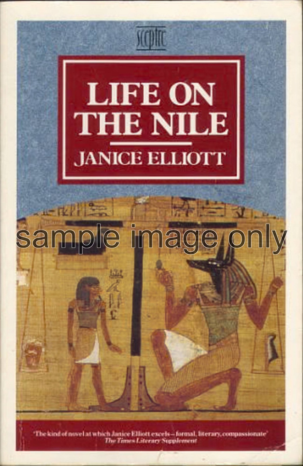 Life on the Nile by Janice Elliott | eBay Australia