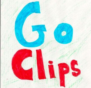 GoClips | eBay Stores