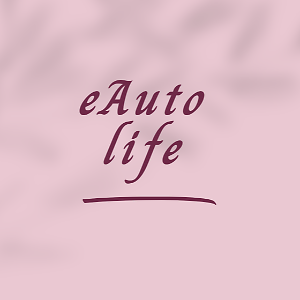 EAUTO LIFE | eBay Stores